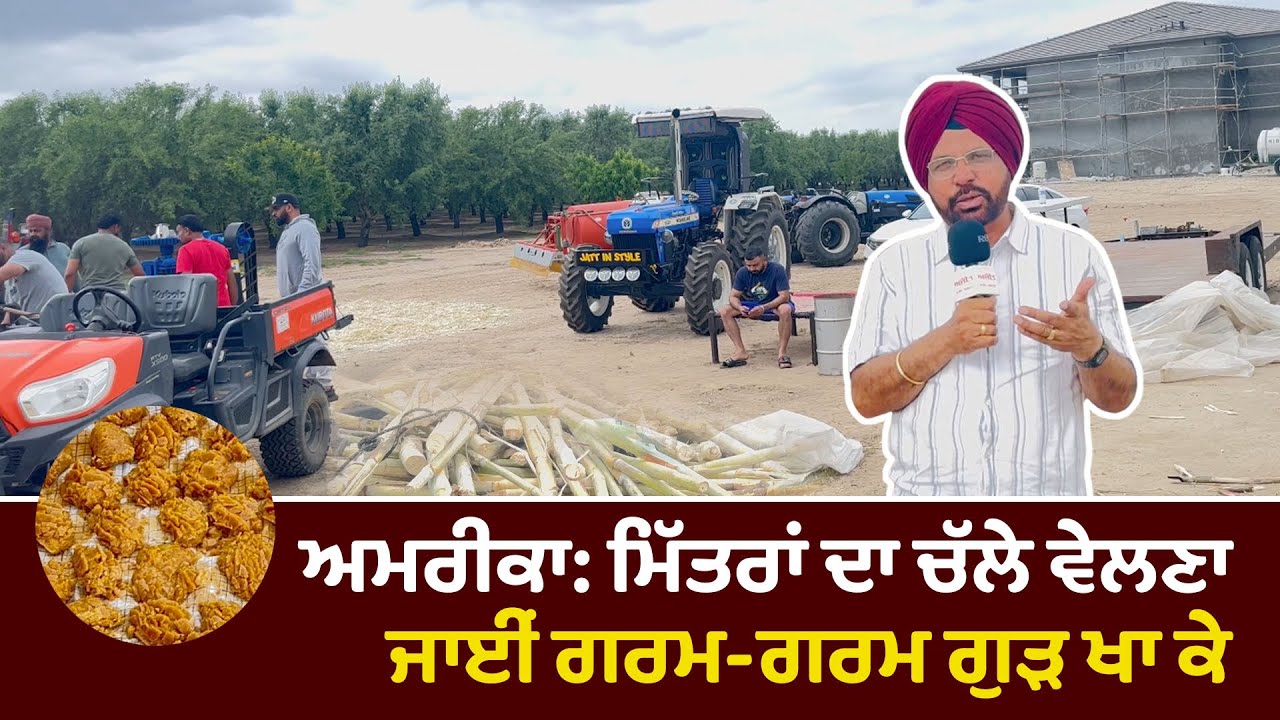 Livingston ’ਚ ਬਦਾਮਾਂ ਦੇ ਖੇਤਾਂ ’ਚ Harry Bhangu ਤੇ Raja Dhami ਨੇ ਵੇਲਣਾ ਲਾ ...