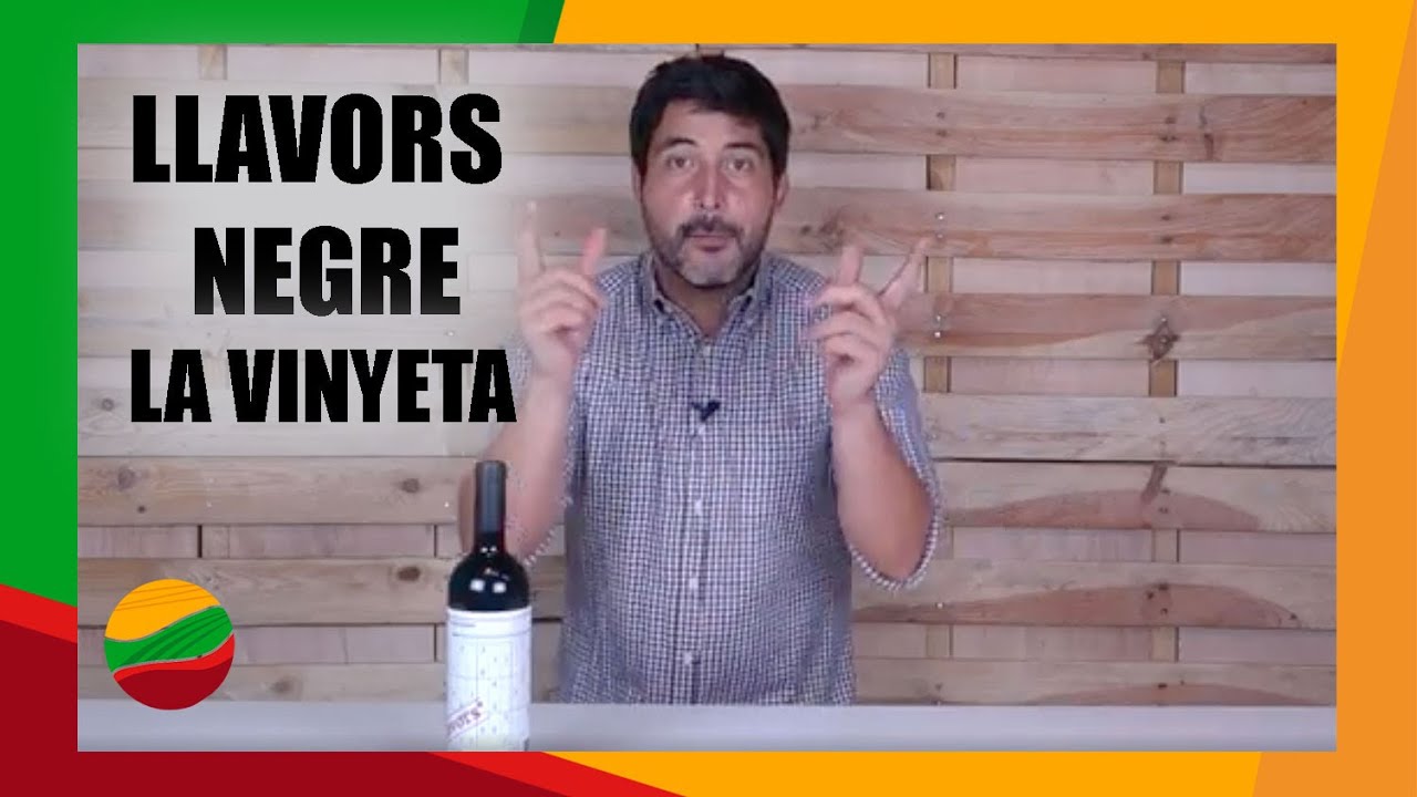LLAVORS Negre, LA VINYETA (DO Empordà) - YouTube