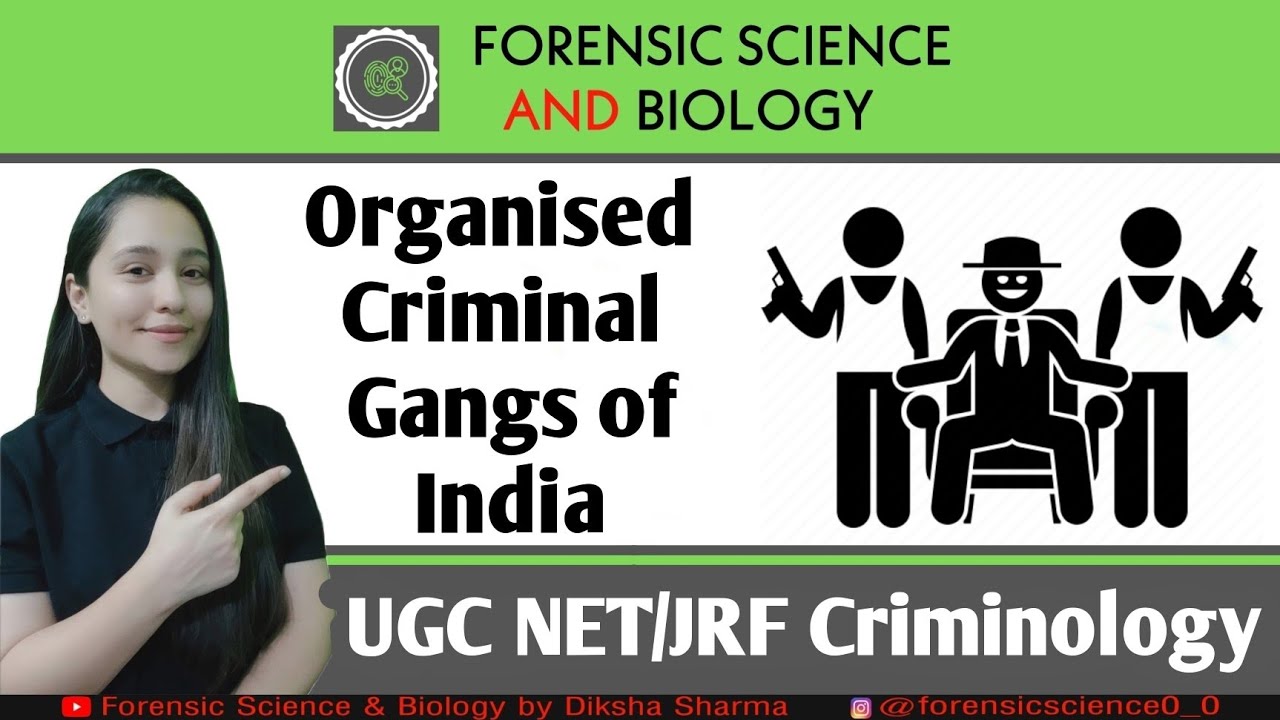 Organised Criminal Gangs of India - YouTube