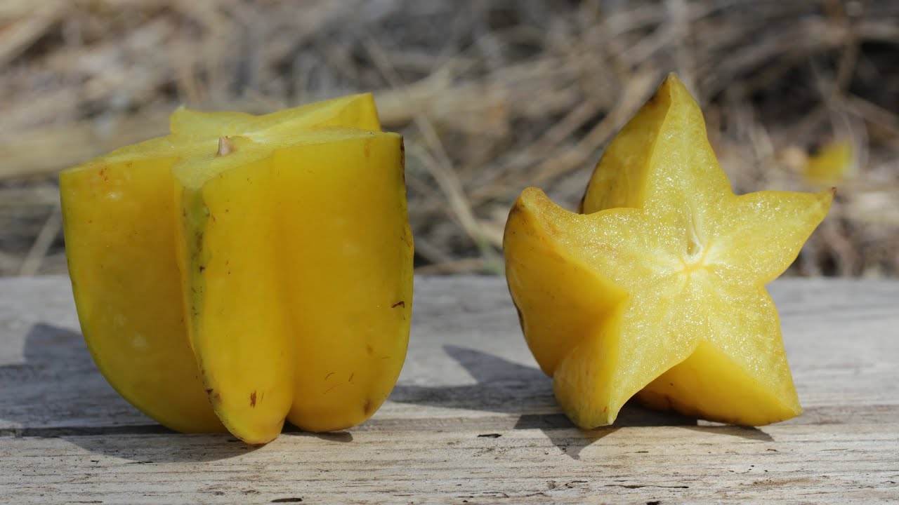 La Carambole - YouTube