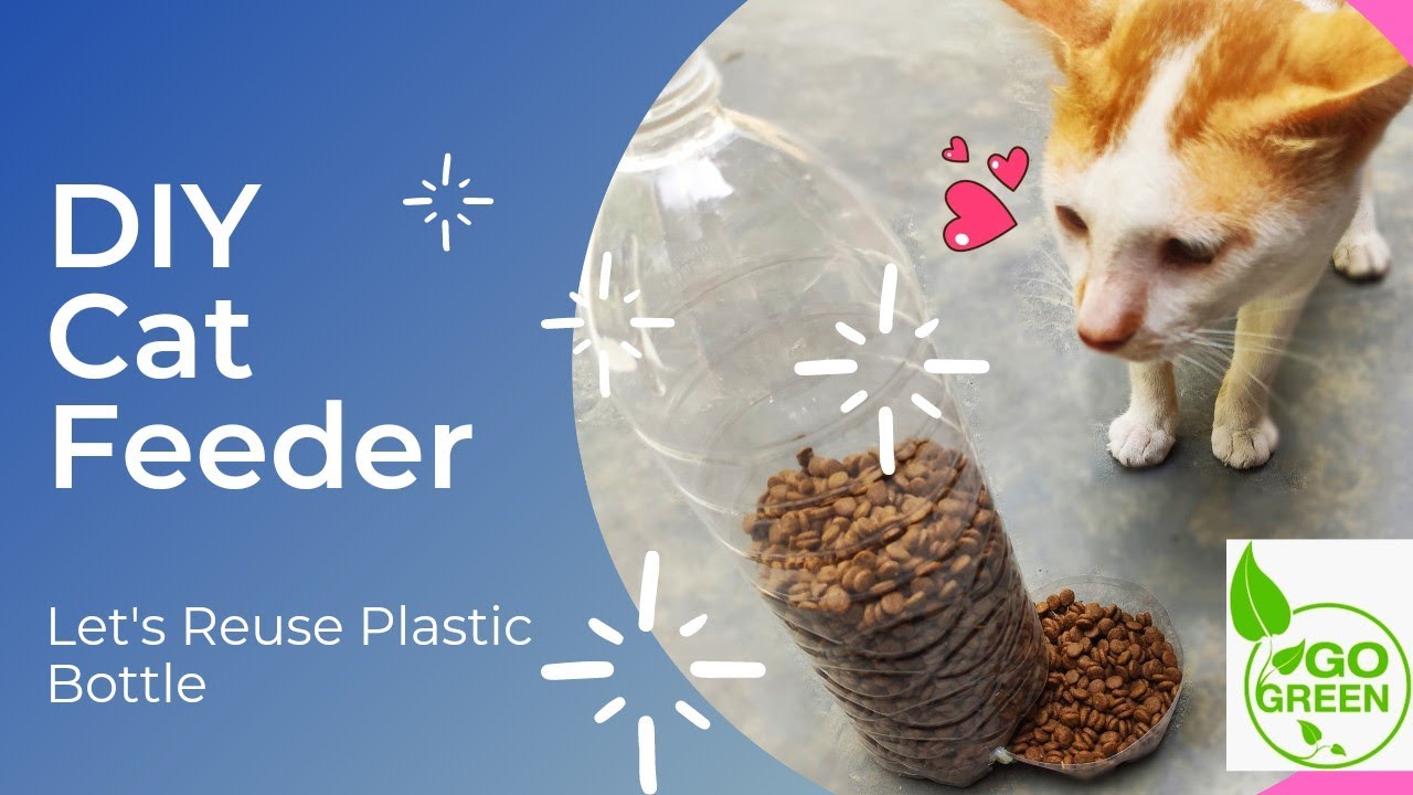 DIY Cat/ Pet Feeder - YouTube
