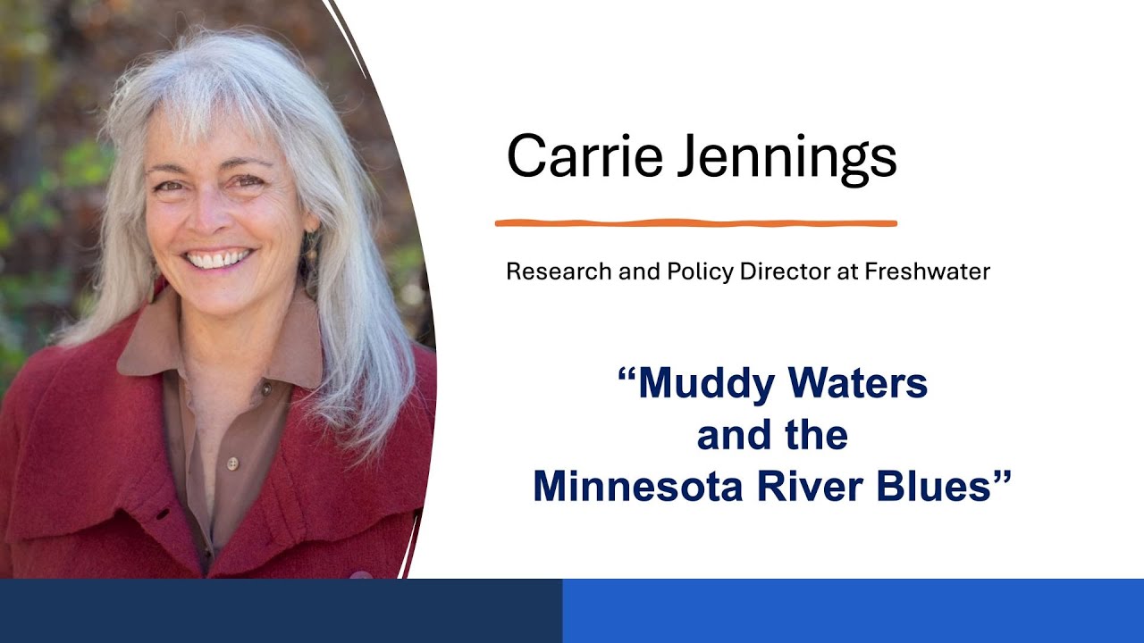 Muddy Waters and the Minnesota River Blues | Carrie Jennings // State ...