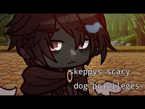 Skeppys scary dog privileges || MCYT || skephalo - YouTube