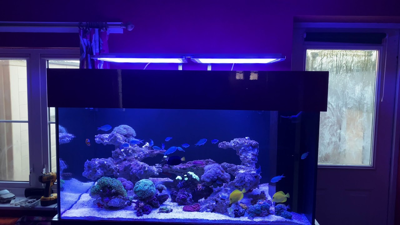 Ati Straton’s - YouTube