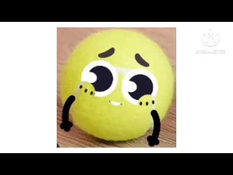 The doodland show intro