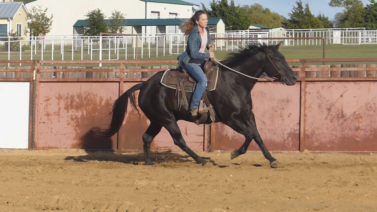 Martin - riding bridleless! - ValleyViewRanch.net - YouTube