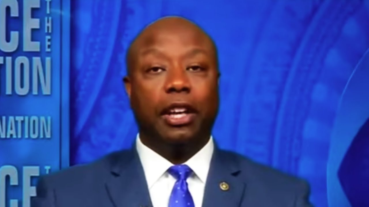 Professional Bootlicker Defends Qualified Immunity For Cops - YouTube