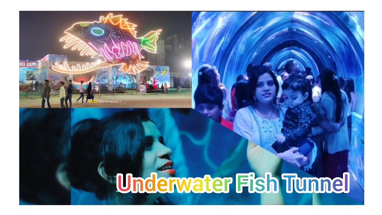 Indian's Largest Underwater Fish Tunnel in Vapi. Just Like Dubai ...