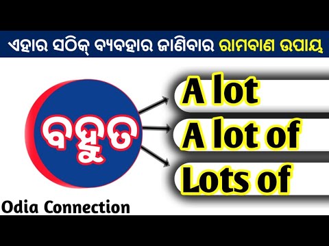 Use Of A lot, A lot of And Lots of In English Grammar / Odia Grammar ...