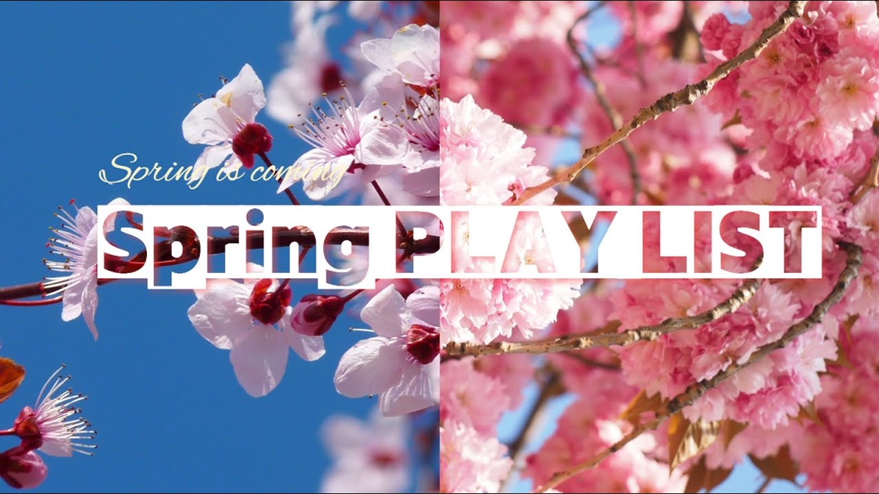 봄바람 따라 듣는 감성 플레이리스트 / Spring Vibes: A Playlist to Welcome the Season ...