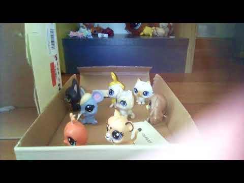 Minişler terk edilmiş ev 3.bölüm