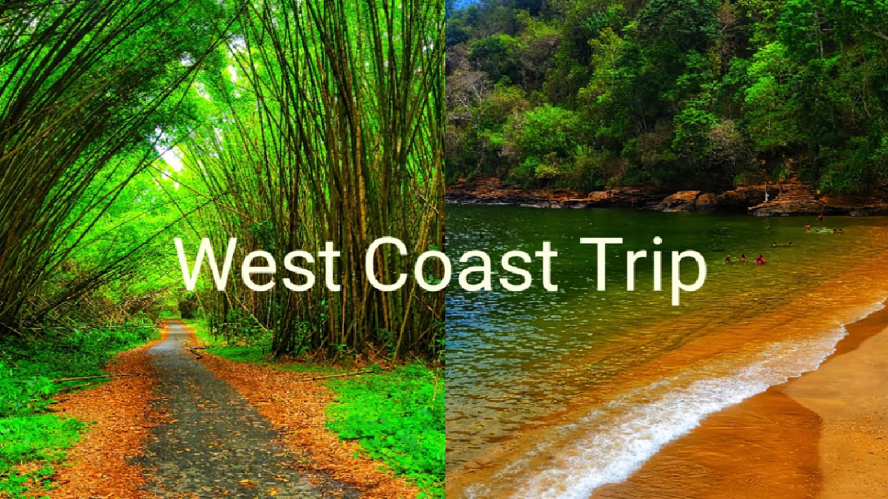Bamboo Cathedral + Macqueripe Beach - A West Coast Trip - YouTube