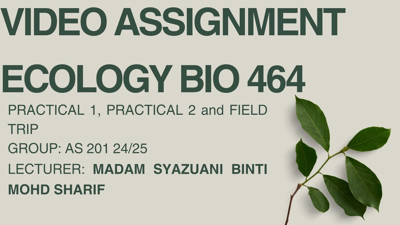 ECOLOGY BIO464 PRACTICAL 1, PRACTICAL 2 AND FIELDTRIP - YouTube