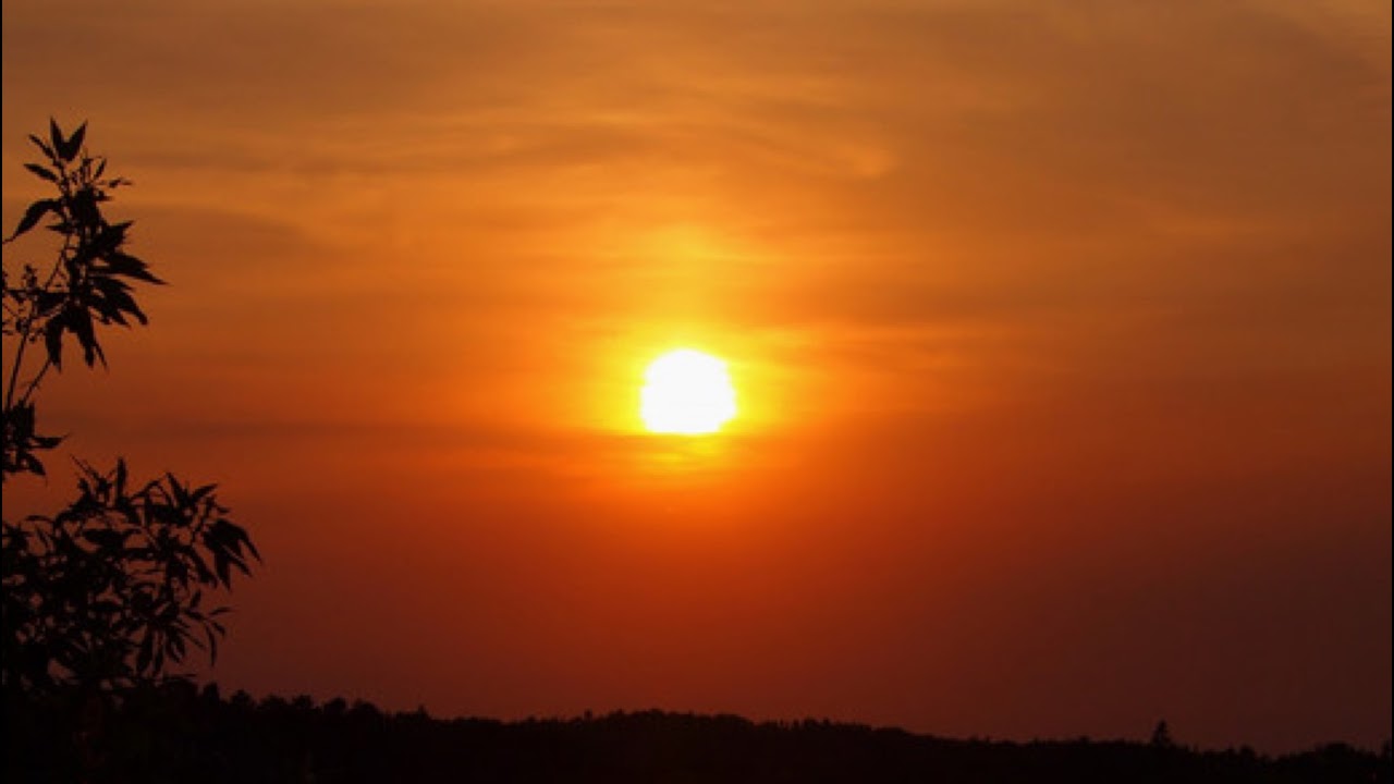 Technical GYAN - YouTube