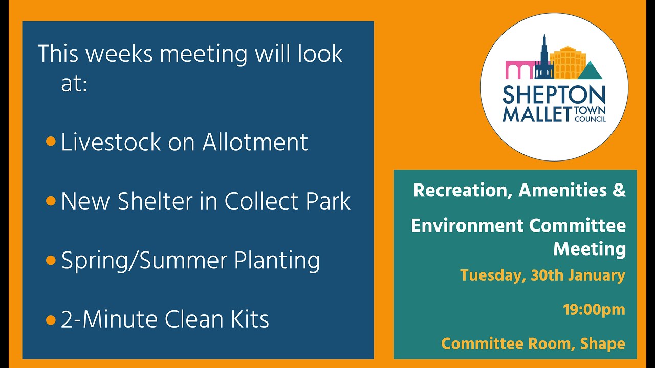 Recreation, Amenities, and Environment Committee Meeting Recording ...