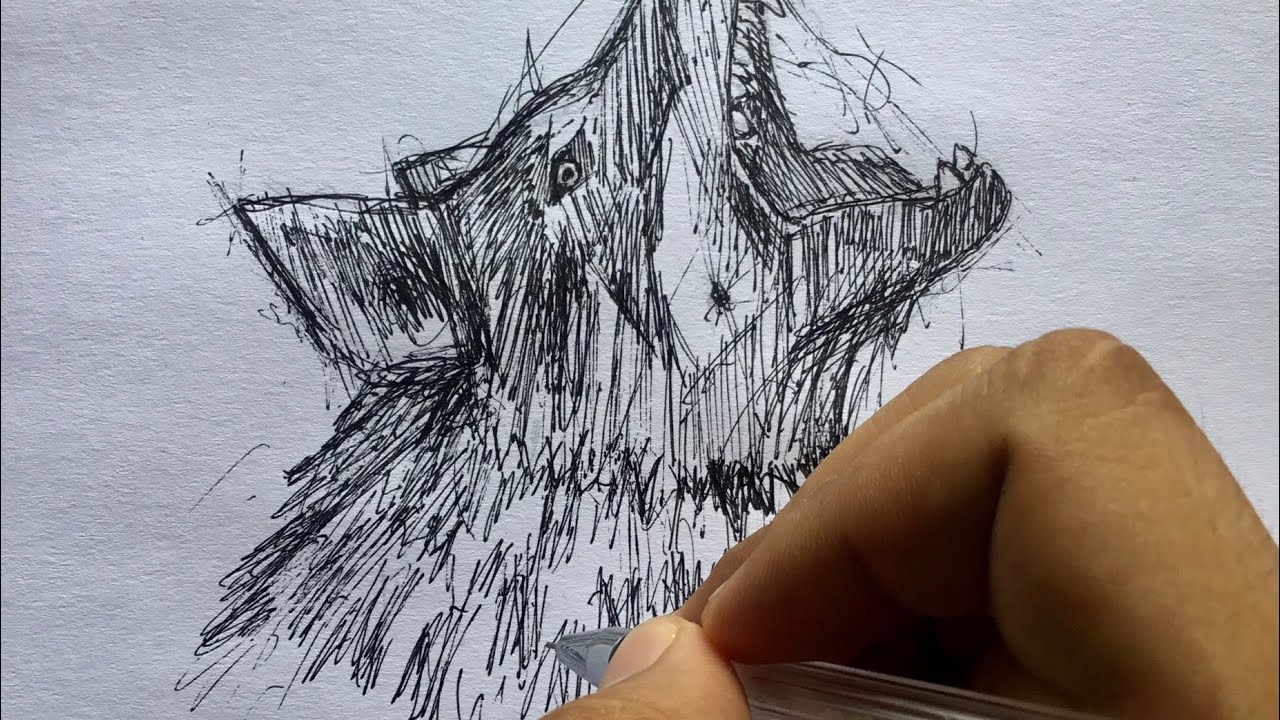 Quick sketch of a Wolf | Tutorial for Beginners | Very easy!! - YouTube