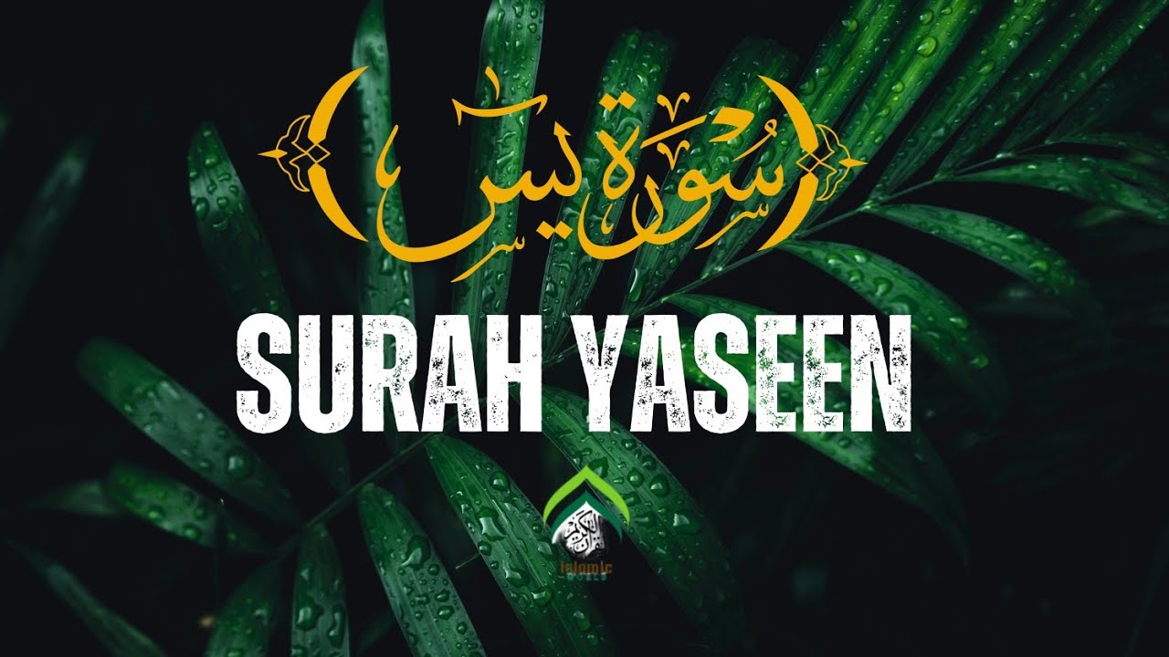 Surah Yasin by Mishary Rashid Al Afasy (Full) - Peaceful and Calming ...