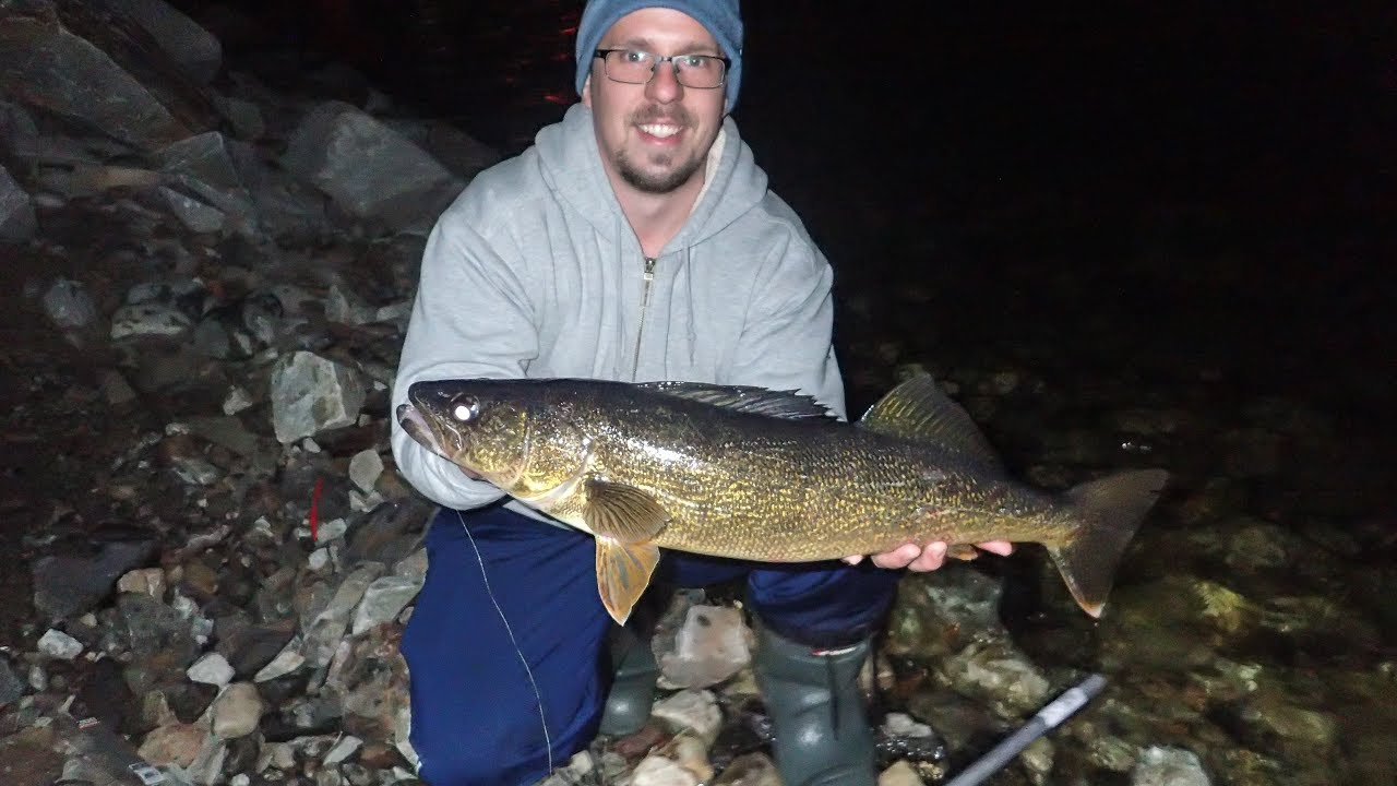 Giant Walleye At Night 2017 - YouTube