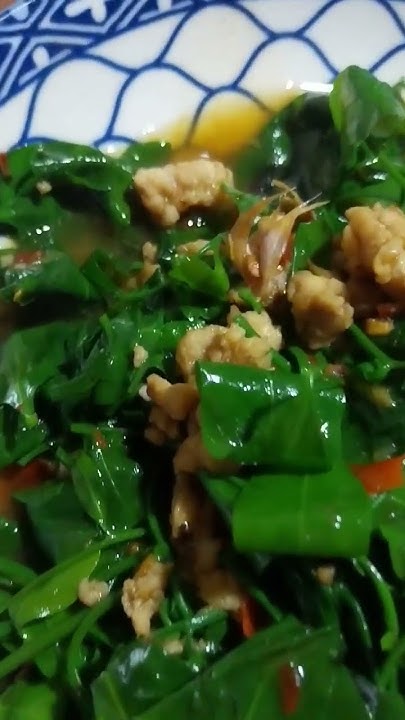 ผัดกระเพราผักหวานหมูสับ Cooking Food Shorts ชีวิตชนบทบ้านๆ Youtube