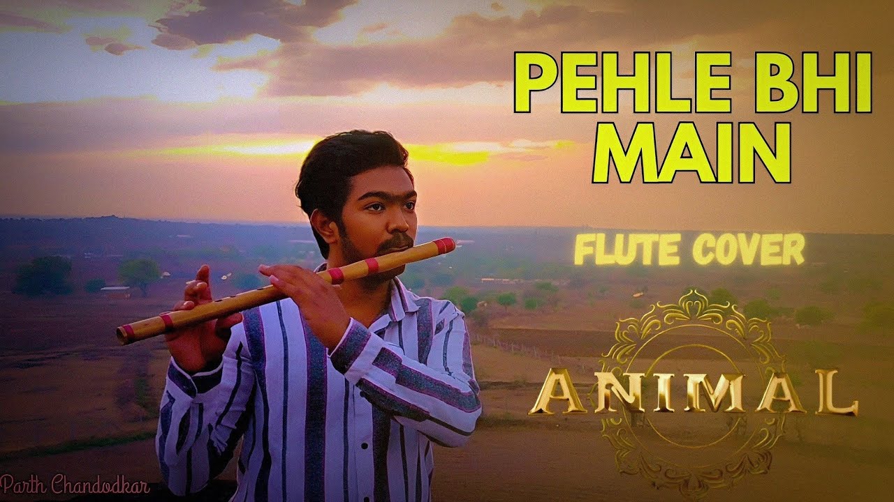 Pehle Bhi Main | Flute cover | (Animal) | Parth Chandodkar | - YouTube