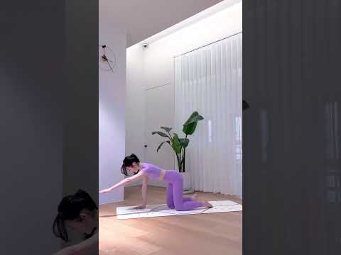 Quadruped leg slide | 코어 운동도 한발부터 - YouTube