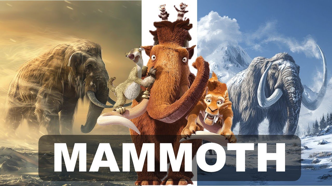 The Fascinating World of Woolly Mammoths - YouTube