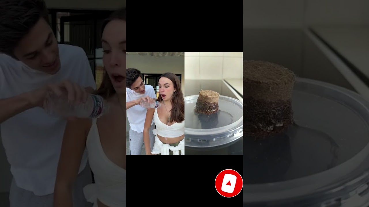 Pierson Wodzynski And Brent Rivera 😮😮 Prank Gone Wrong 😮 She Loses Her ...