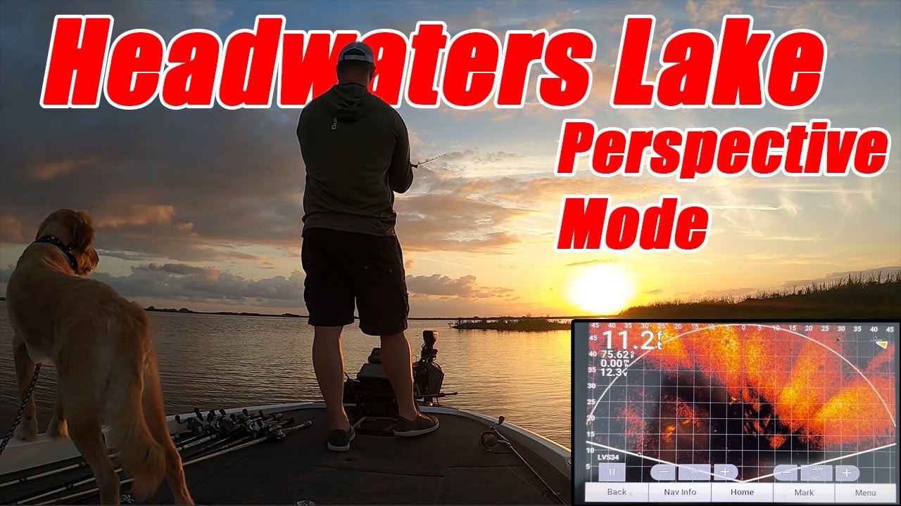 Garmin Livescope Perspective Mode TOPWATER at Headwaters Lake!! - YouTube