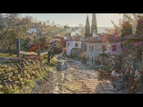 Armağan Elçi - Tiridine Bandım
