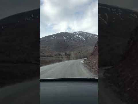 Aklım gider aklına
