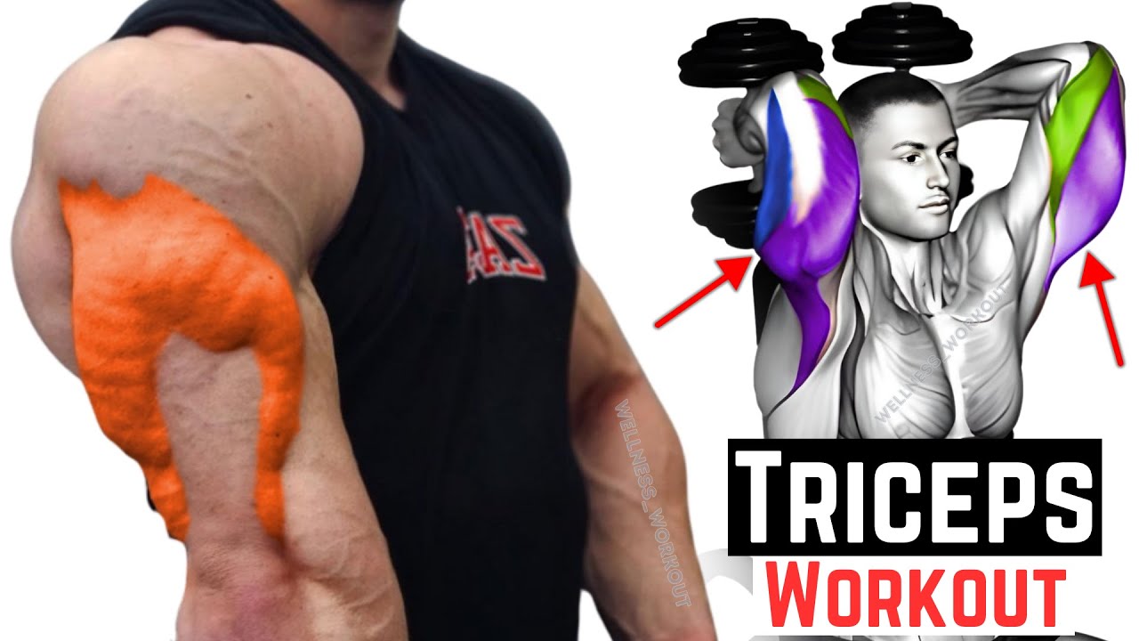 How to Get Bigger Triceps | Best Triceps Exercises for Mass - YouTube