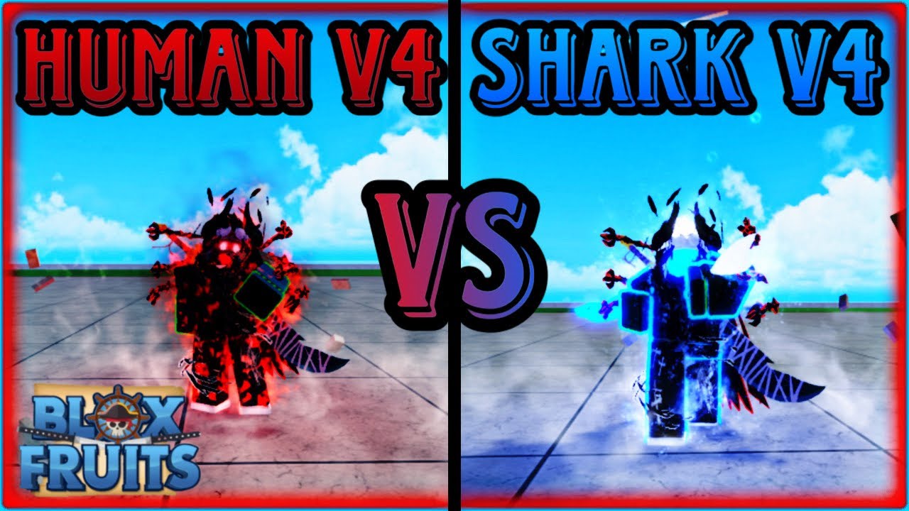 Human v4 vs shark v4 | Roblox Blox fruits - YouTube
