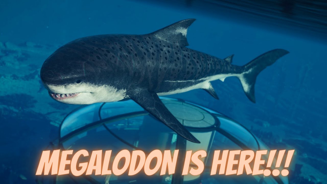 Megalodon is Here!!! - JWE2 Park Manager's Collection Pack - YouTube