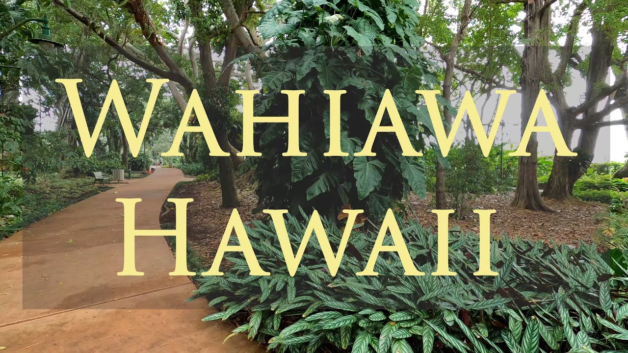 #garden #hawaii Best Gardens of Oahu Hawaii: I under-estimated the ...