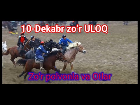 10-dekabr, 2025 Uloq koʻpkarisi ZOʻR Namangan Yangiqoʻrgʻon#uloq#kopkari 