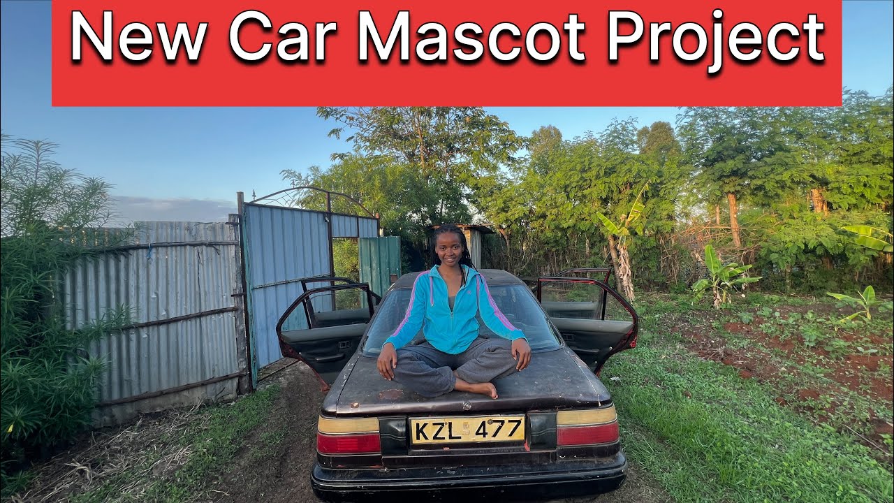 FIRST CAR: Reviewing Manual Car project/ is it worth it? I Need ...