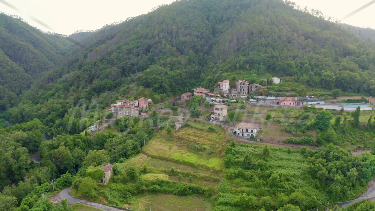 Italy. Forest covered mountains and villas. The territory of Pignone in ...