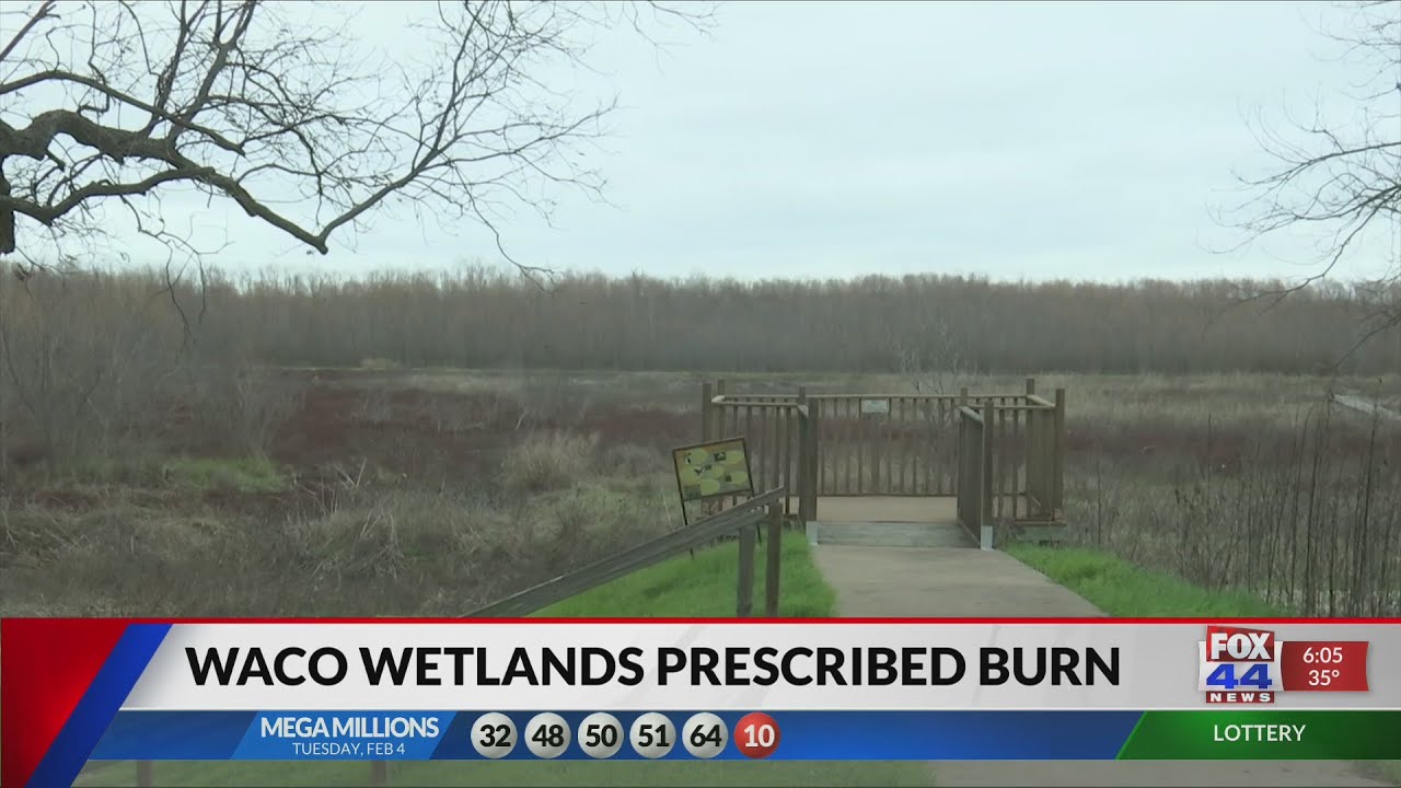 Waco Wetlands prescribed burn scheduled for Friday - YouTube