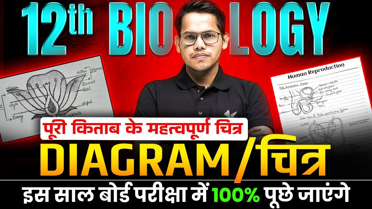 Class 12th Biology Complete Book Important Diagram | Bihar Bord Exam ...
