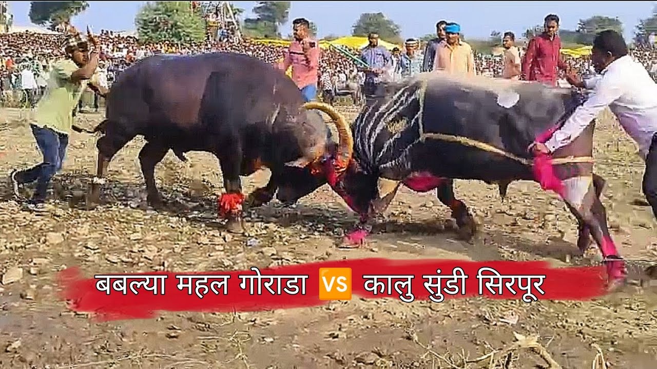 Iqbal seth 🆚 kalu sundi helo ki takkar mahal gulara - YouTube