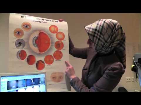 Merve Uyar - optometriste | Diabetische Retinopathie - YouTube