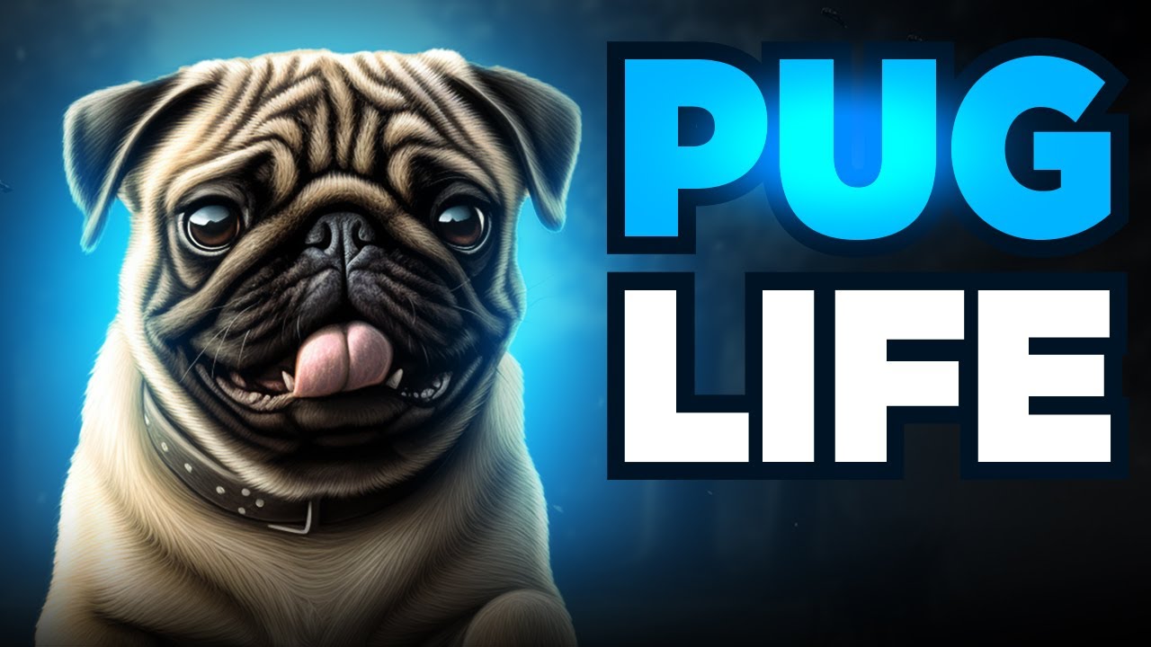 Experience Pure Joy: Dive into the Whimsical World of Pugs in ITS A PUG ...