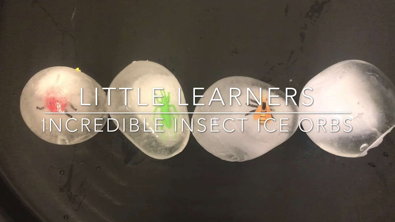 🐜 Little Learners - DIY investigation - How To Make An Incredible ...