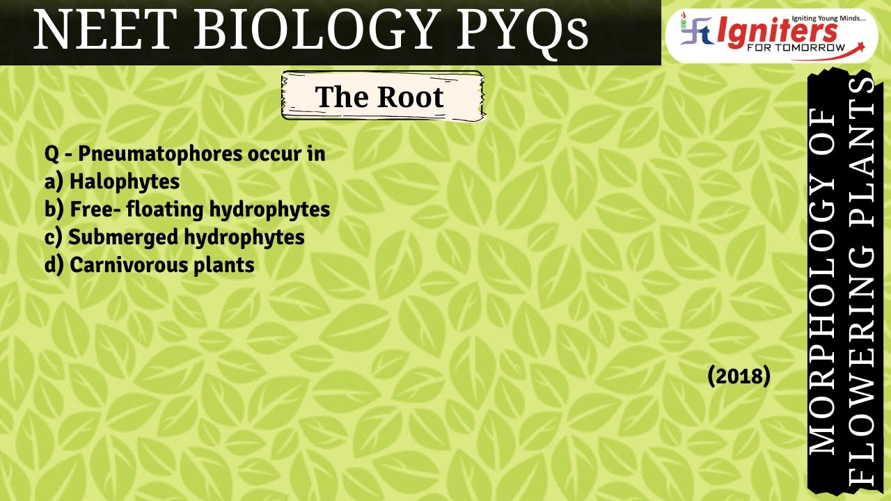 Pneumatophores occur in a) Halophytes b) Free- floating hydrophytes c ...