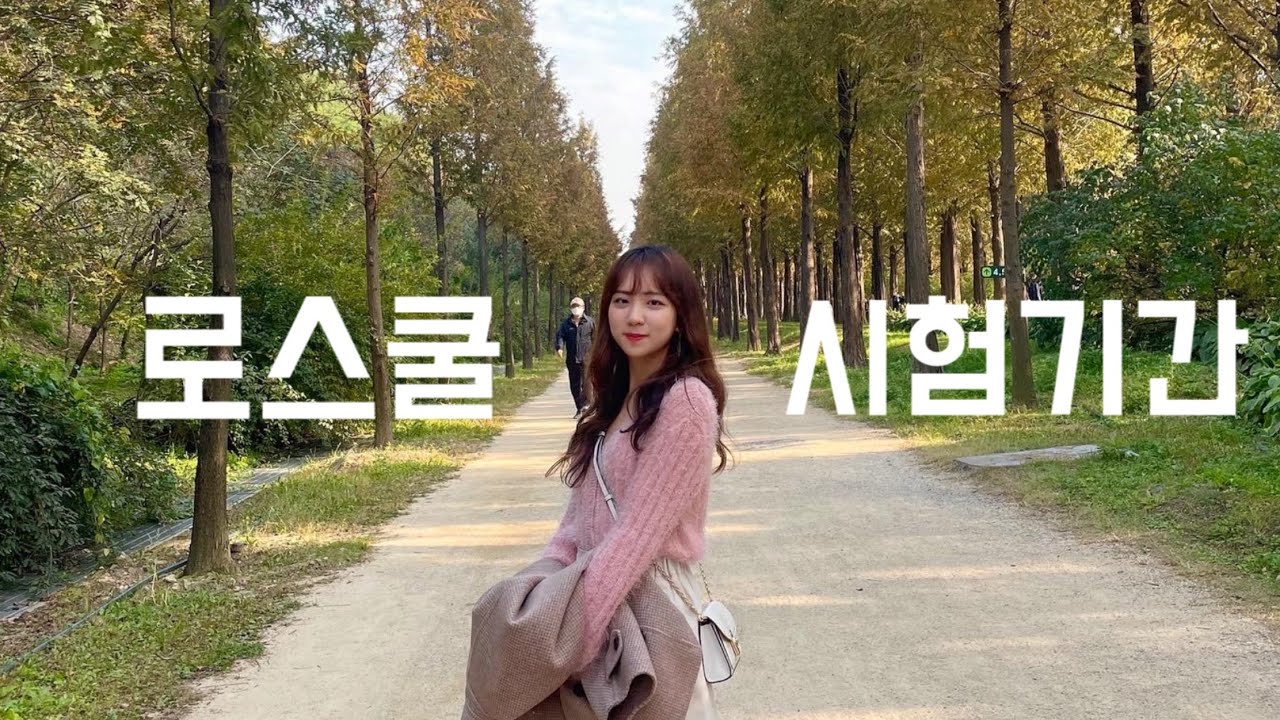 로스쿨생 Vlog 서울대 로스쿨생 시험기간 브이로그 2 3일 4시험🔥 끝나고 꽃구경🌸🍂 Youtube