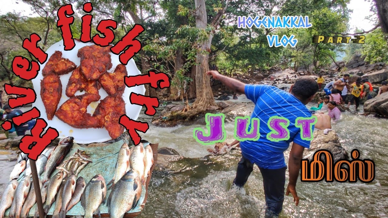 Hogenakkal falls Fish fry Vera level taste/ Must try - Part -2 - YouTube
