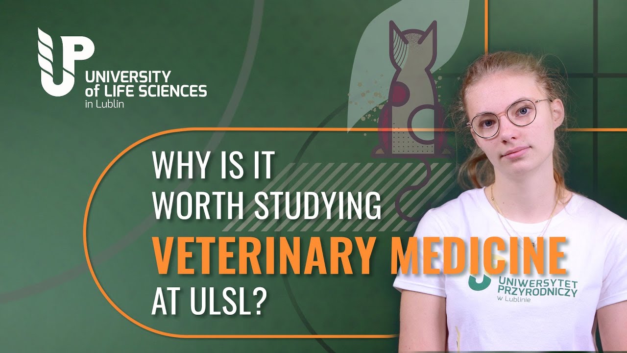 Why is it worth studying Veterinary Medicine at University of Life ...