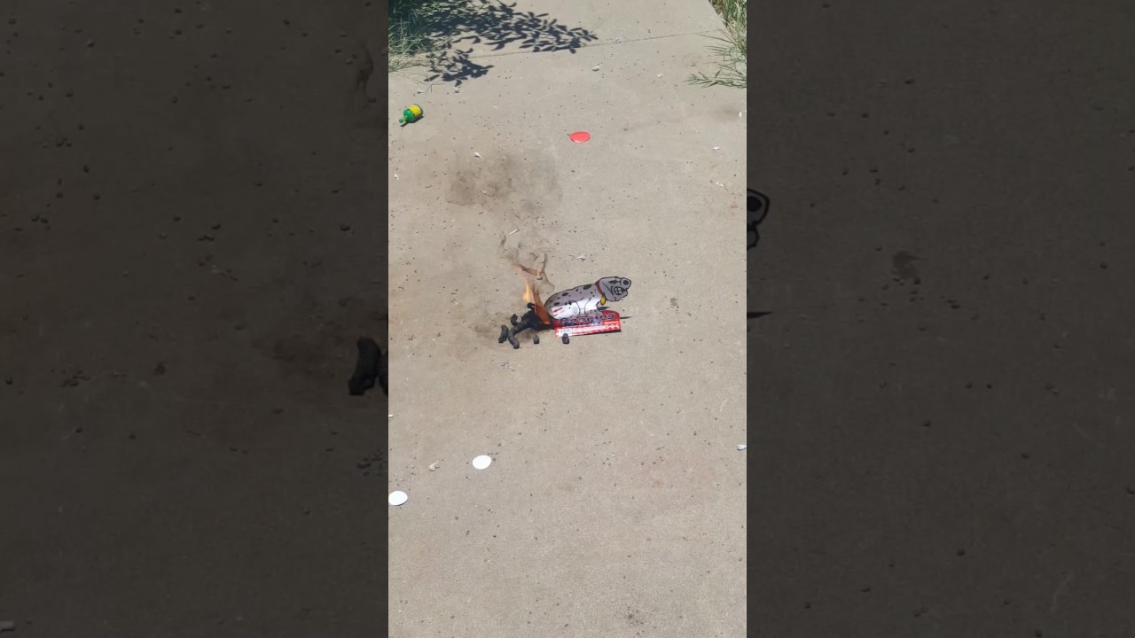 The pooping dog Firework! Finger almost blown off ! - YouTube