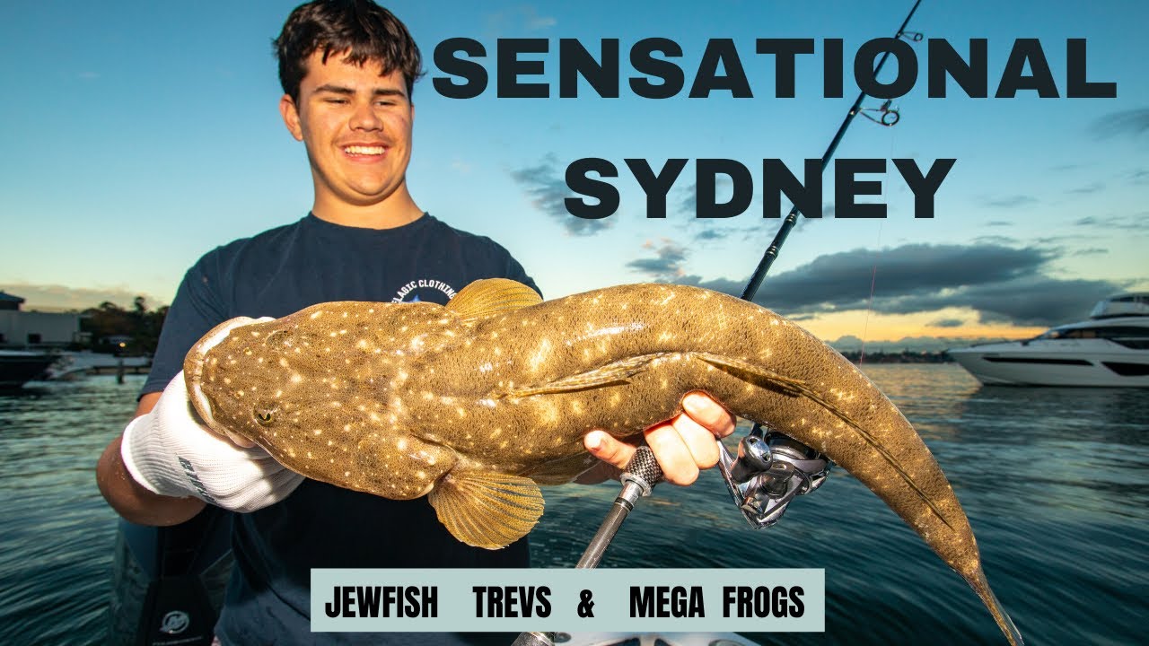 Massive Sydney Flathead - YouTube