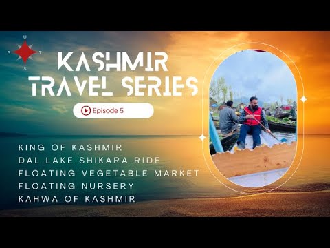 6 Hour long Shikara Ride on Dal Lake | Floating Vegetable Market ...
